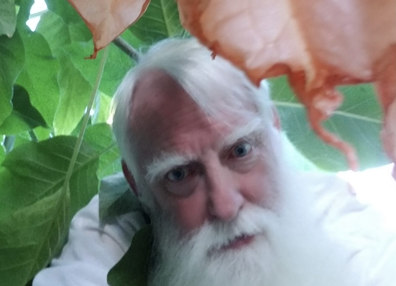 Ron Hering Mission of Service Award - 2020 - ManKind Project